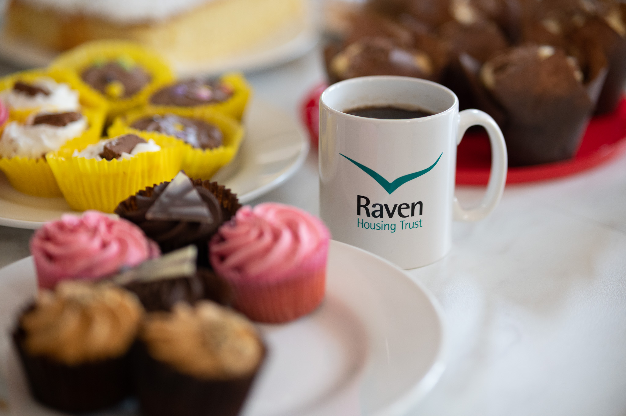 Group Board - Raven Housing Trust