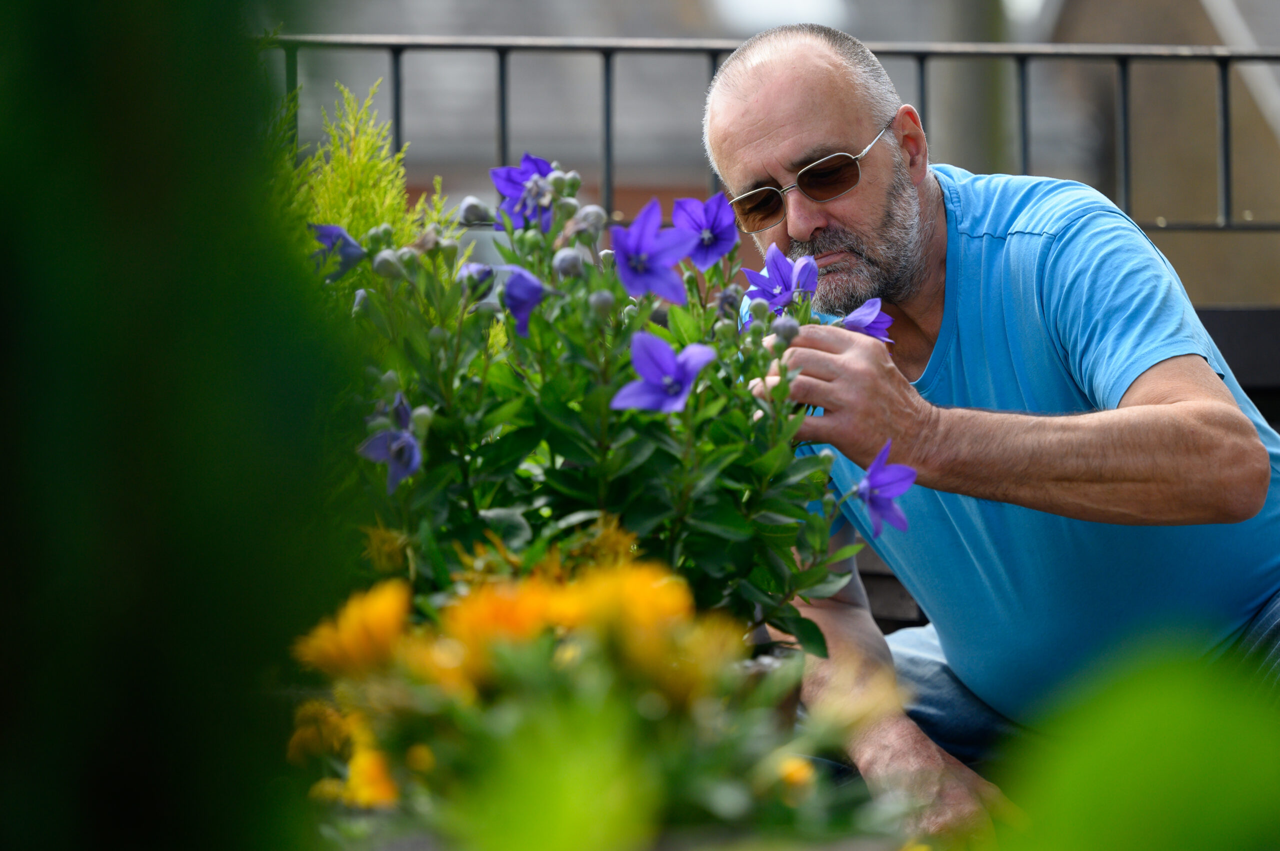 Homeowner satisfaction - how we're performing - Raven Housing Trust